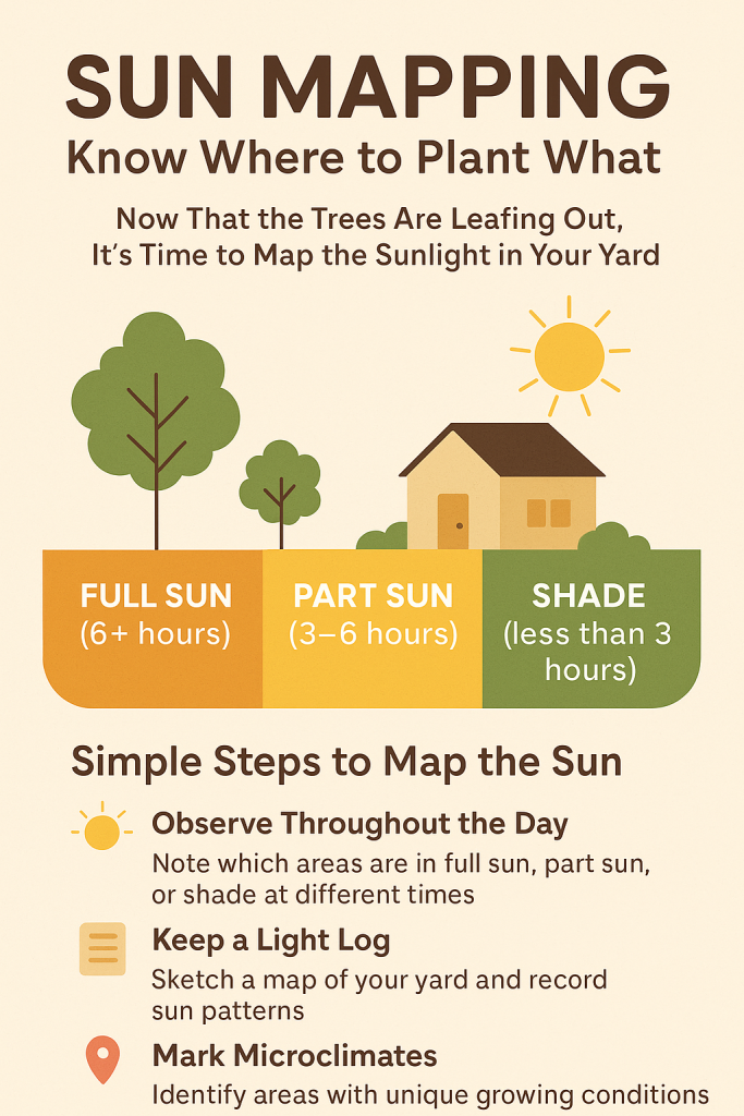Sun Mapping: Know Where to Plant What - Marrazzo Garden Center